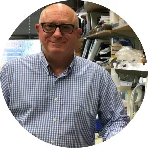 H. Michael Shepard - Whois - xwhos.com