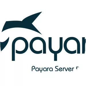 Payara Server - Whois - xwhos.com
