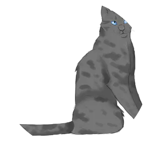 Shellheart - Whois - xwhos.com