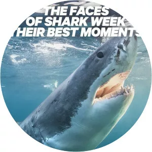 The Faces of Shark Week: Their Best Moments - 2018 ‧ 1 season - Whois ...